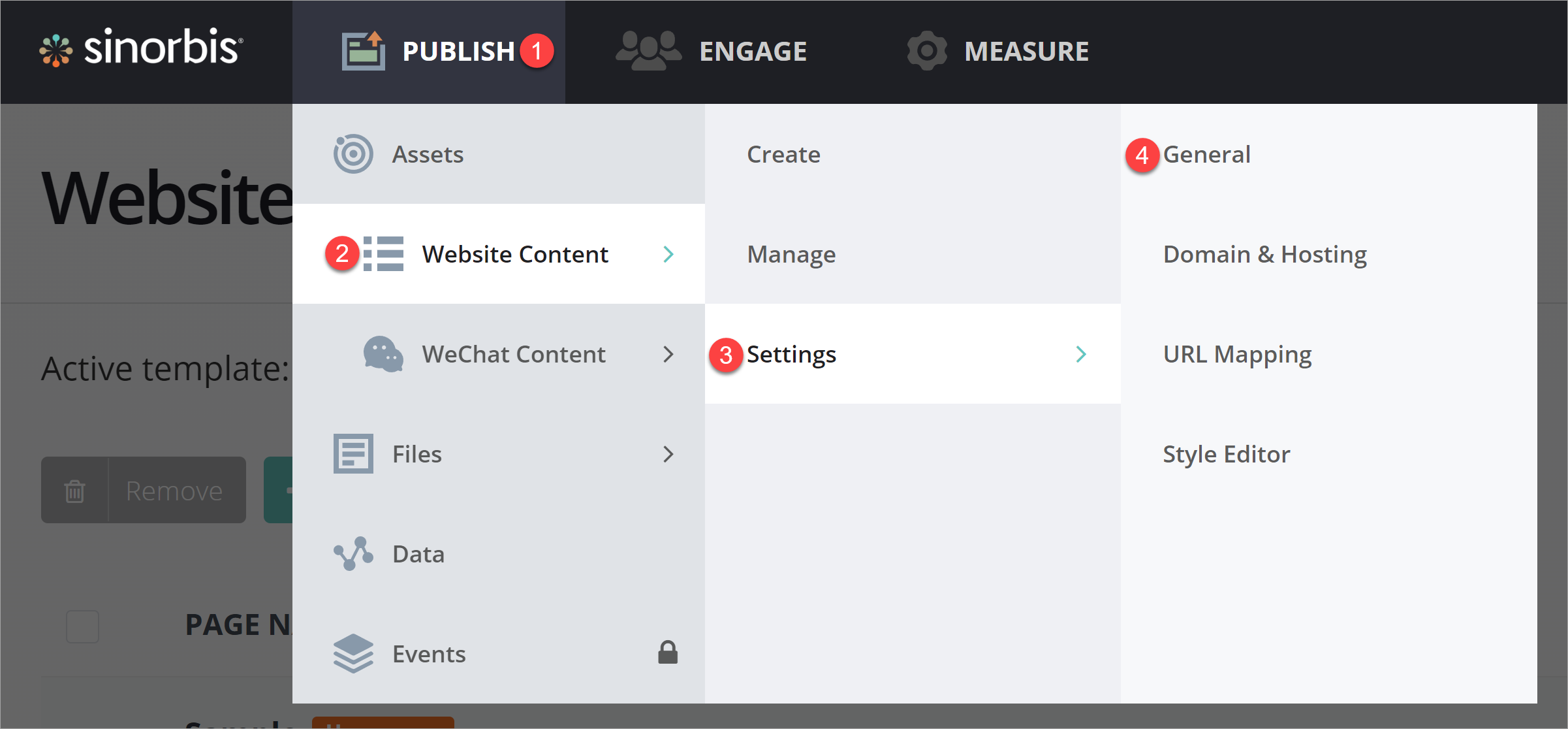 Entering Website Settings – Sinorbis